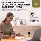 high potency ashwagandha 3600 mg benefits