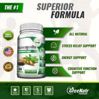 high potency ashwagandha 500 mg