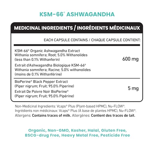 high potency ashwagandha 500mg