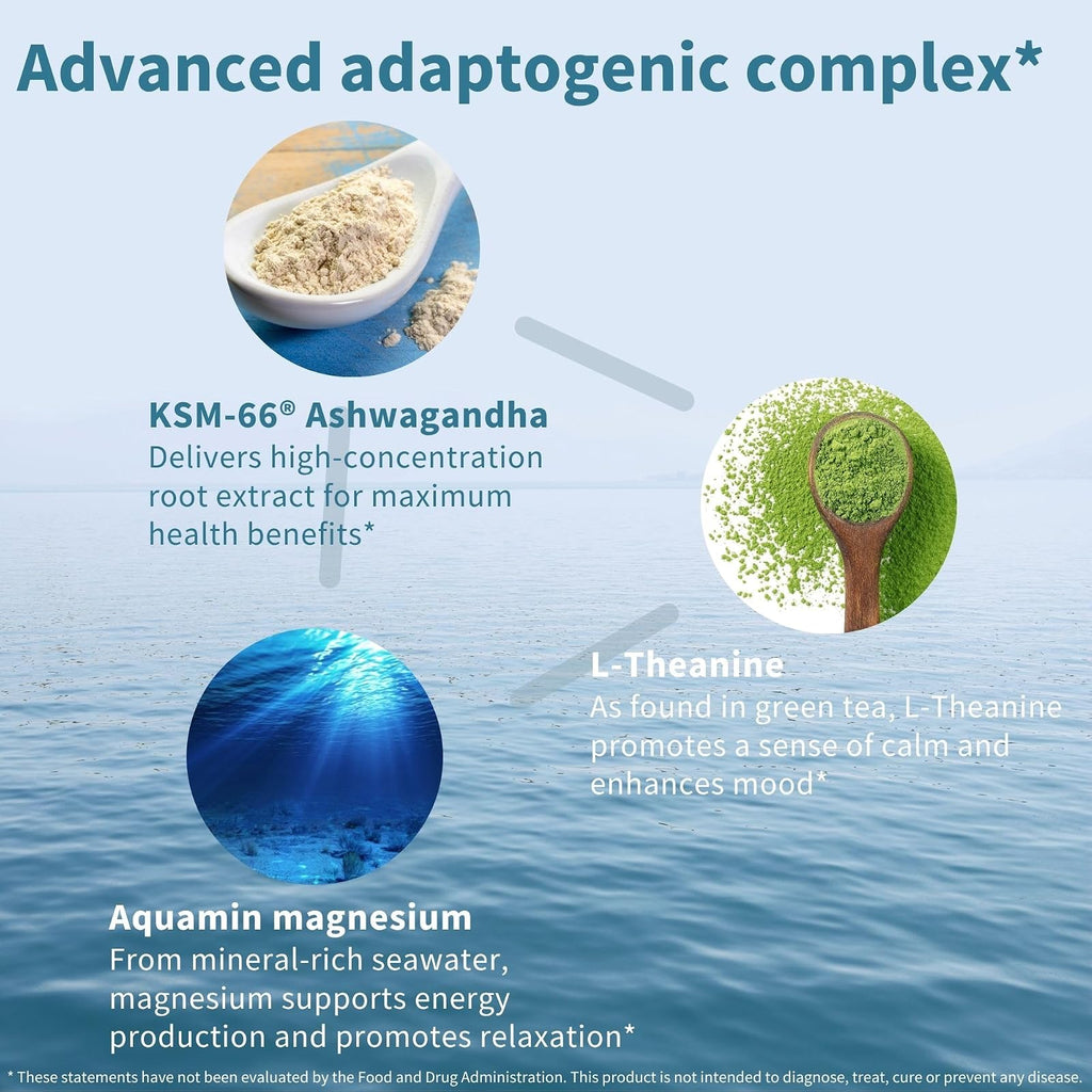 high potency ashwagandha 600 mg