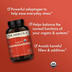 high potency ashwagandha capsules 800 mg