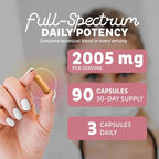 High potency ashwagandha complex 2005 mg