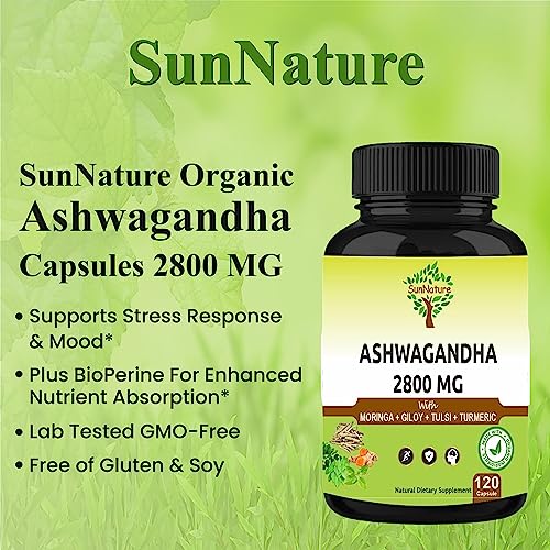 high potency ashwagandha for daily health