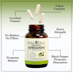 high potency ashwagandha for energy boost