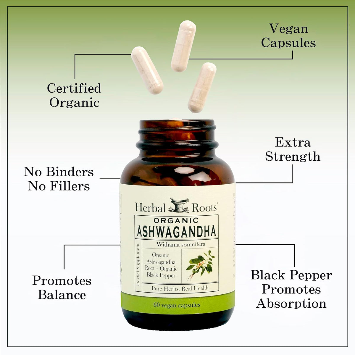 high potency ashwagandha for energy boost