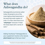 high potency ashwagandha for energy boost