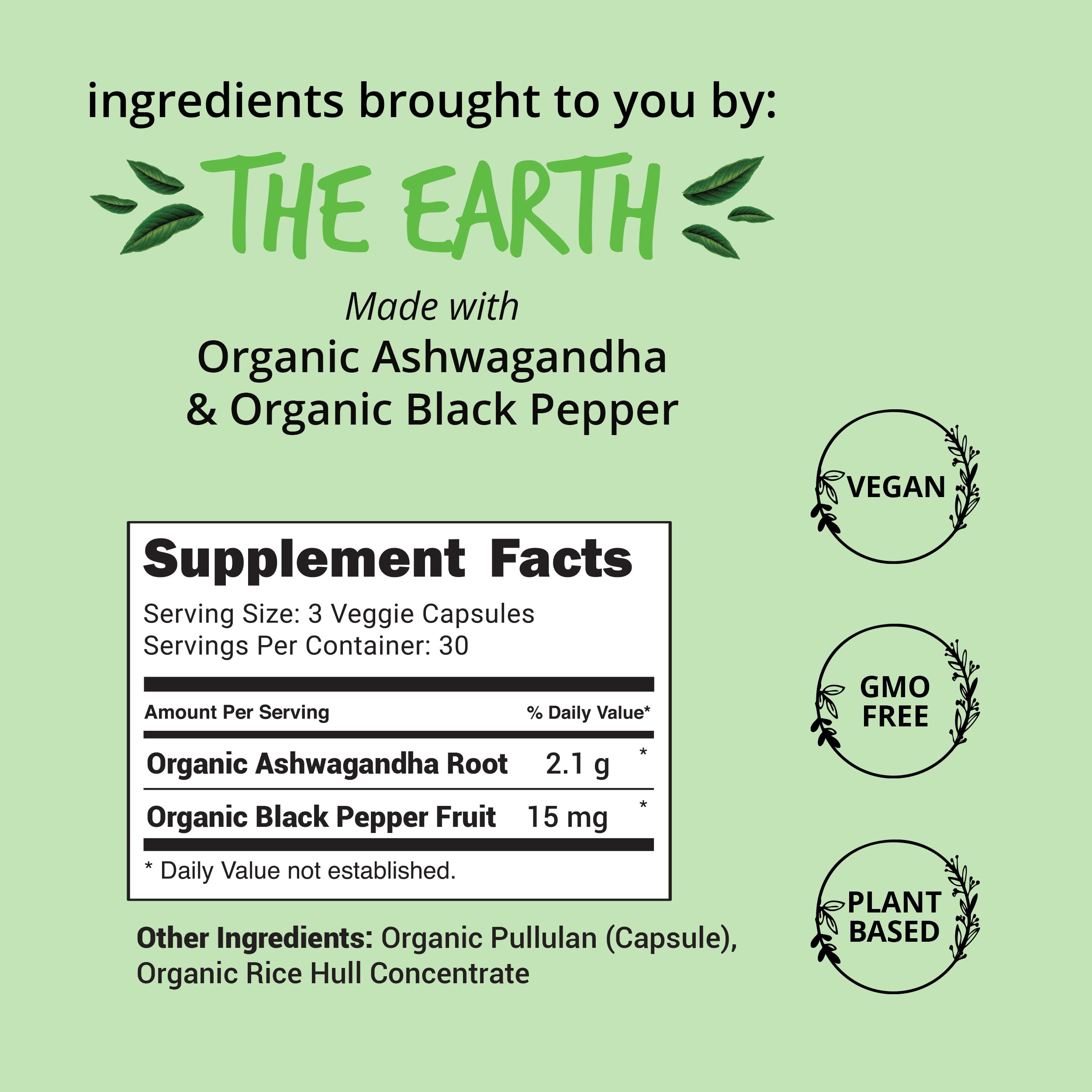 high potency ashwagandha for wellness