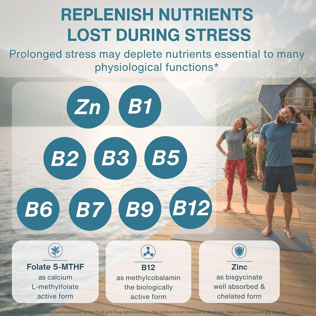 high potency ashwagandha for wellness