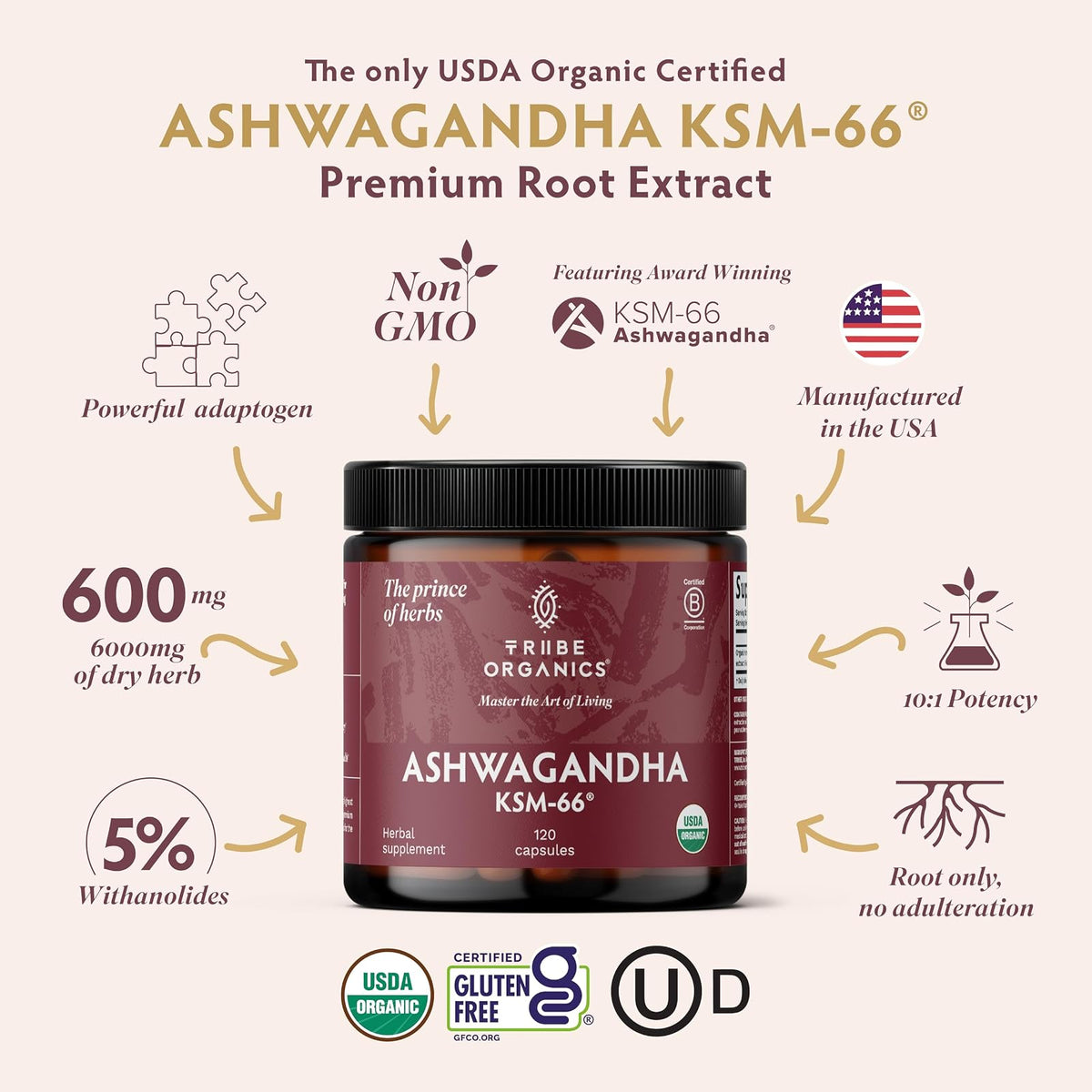high potency ashwagandha ksm-66 supplement