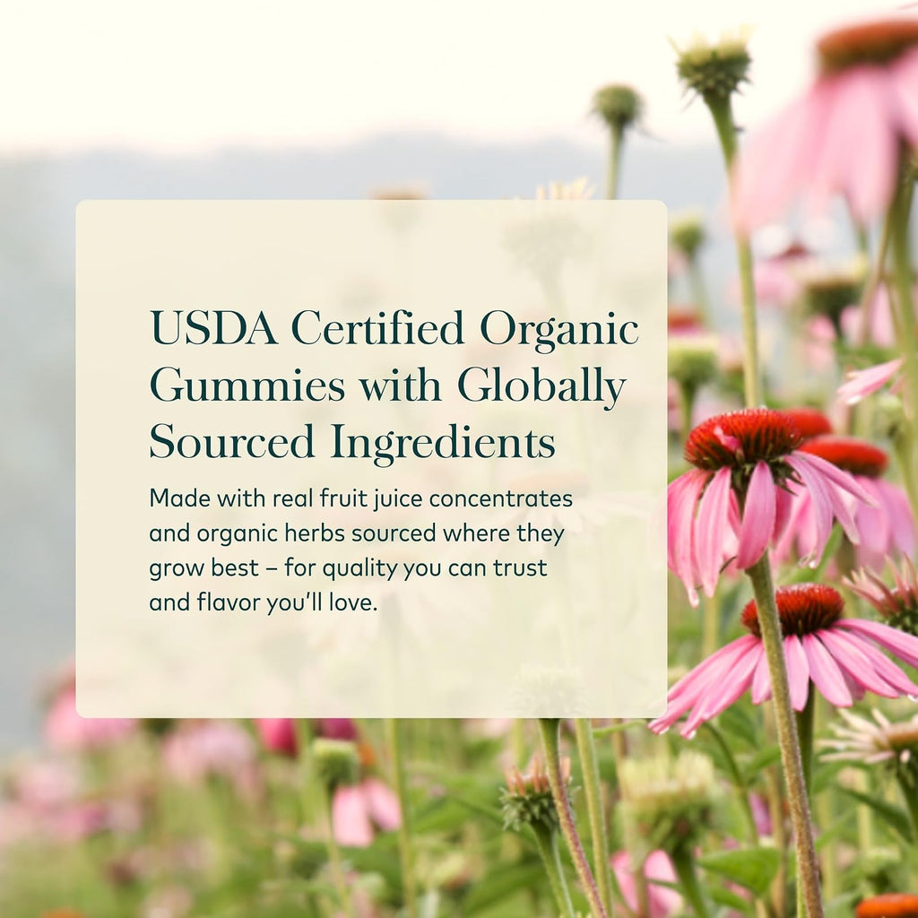 high potency ashwagandha root extract