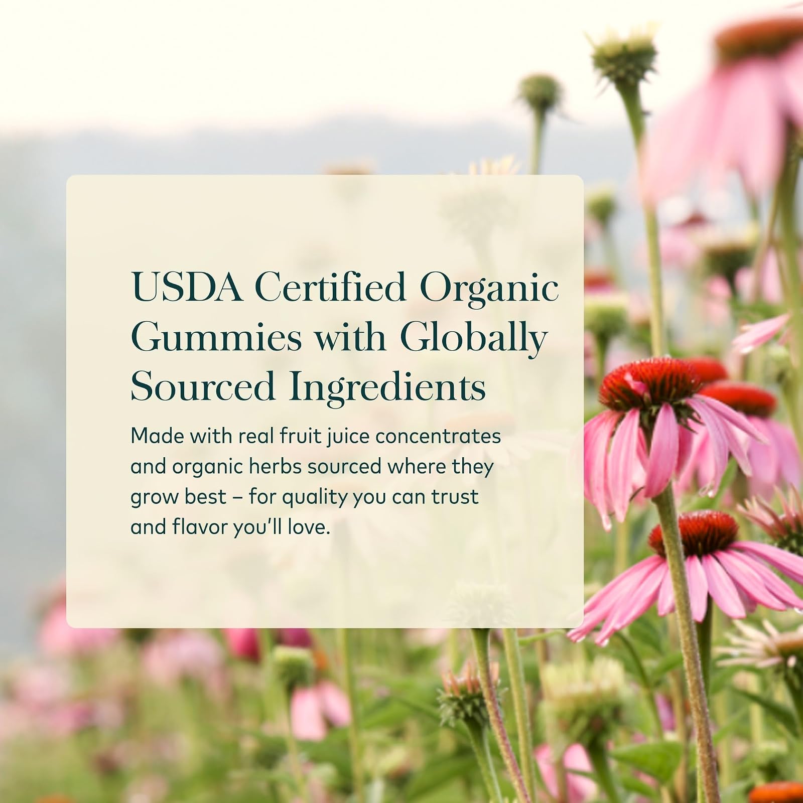 high potency ashwagandha root extract