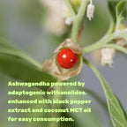 high potency ashwagandha supplements