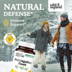 high potency astragalus 1200 mg supplement
