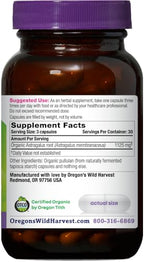high potency astragalus supplement