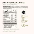 high potency b complex supplement