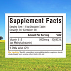 high potency B12 for energy boost
