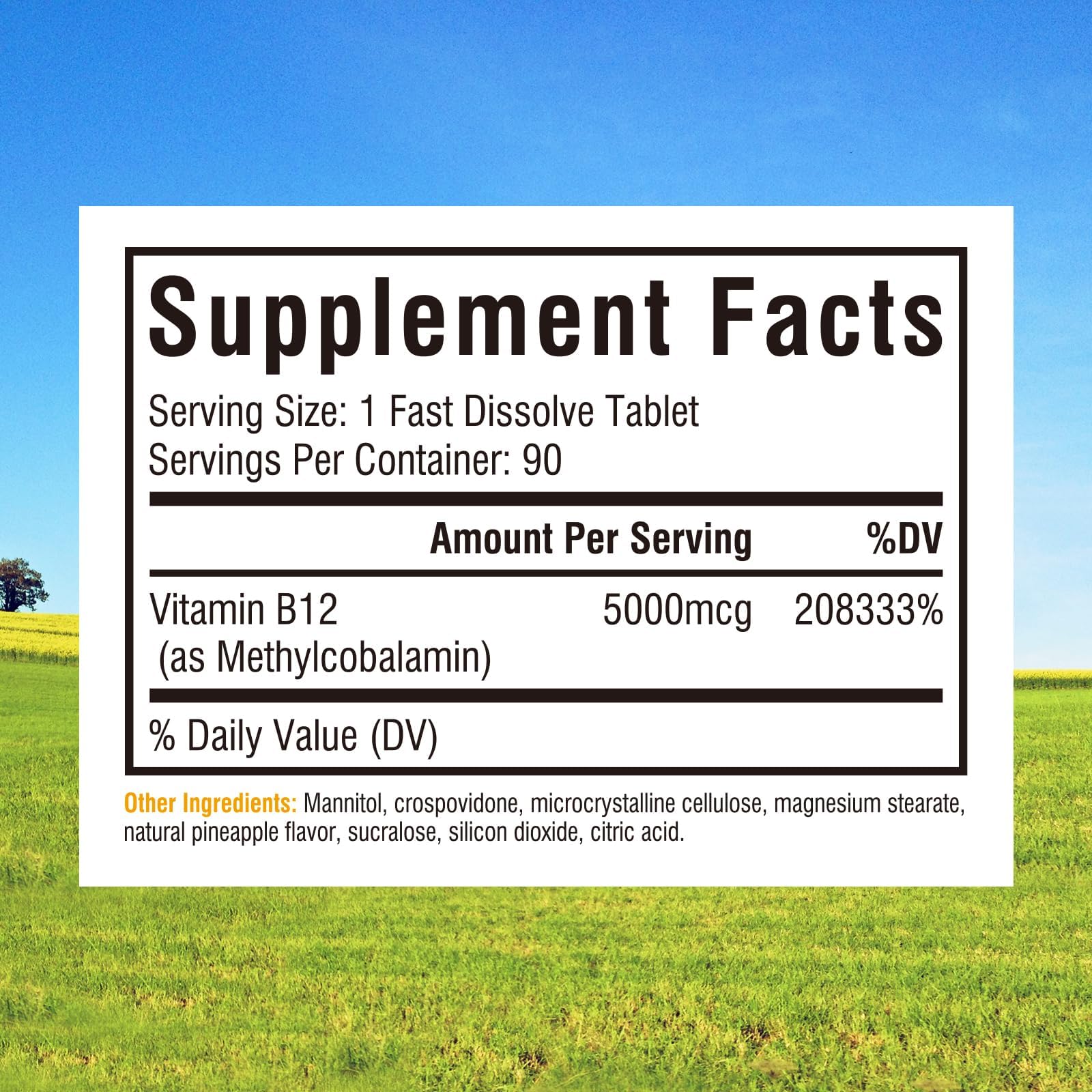 high potency B12 for energy boost