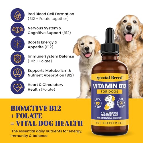 High potency B12 for energy boost