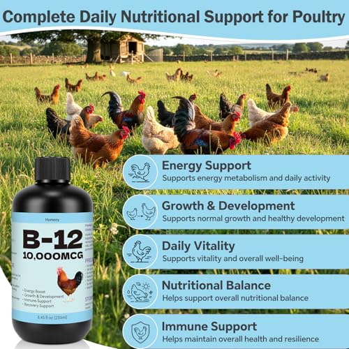 High potency B12 liquid supplement