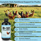 High potency B12 liquid supplement