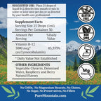 high potency B12 vitamin supplement