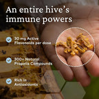high potency bee propolis extract
