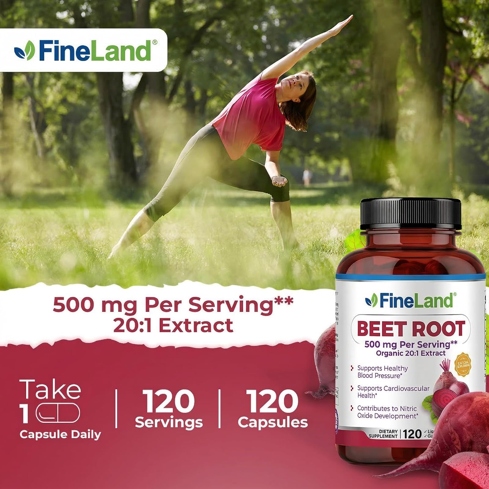 high potency beet root extract