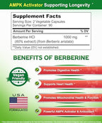 high potency berberine 1000 mg