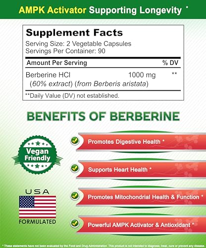 high potency berberine 1000 mg
