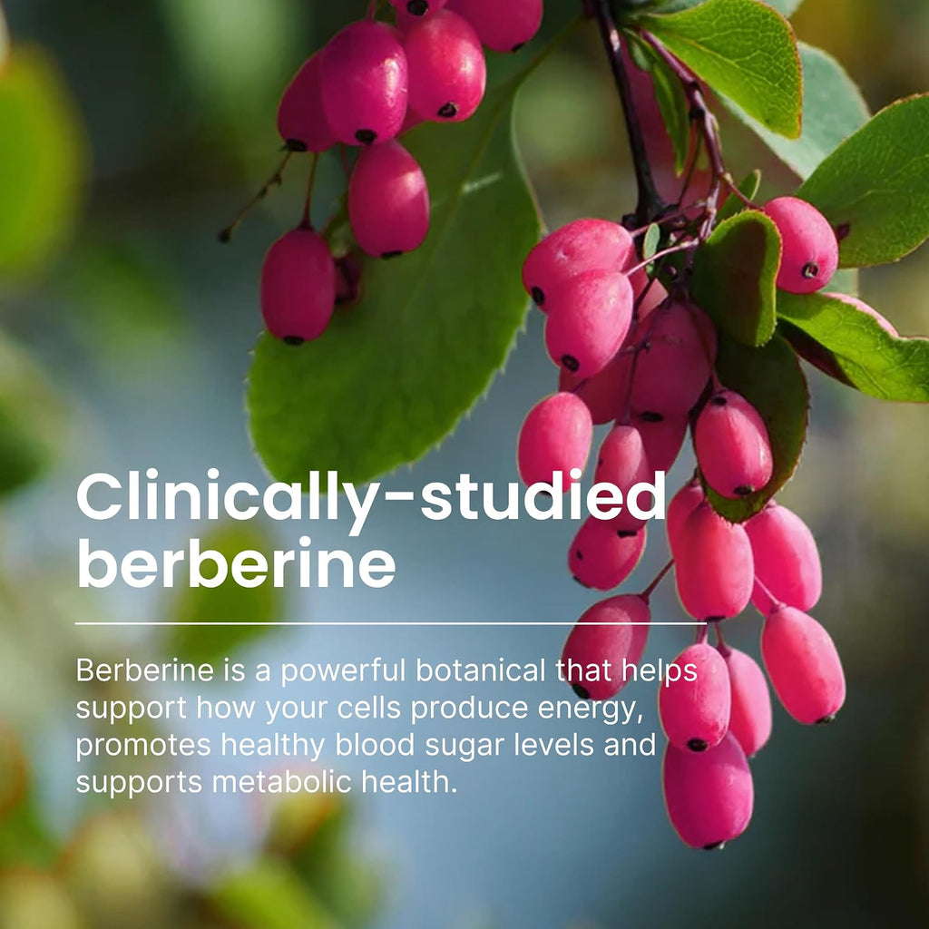 high potency berberine 550 mg capsules