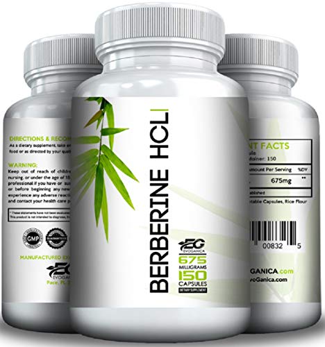 high potency berberine 675 mg