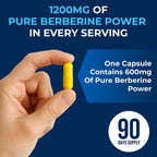 high potency berberine capsules