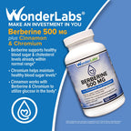 high potency berberine for wellness