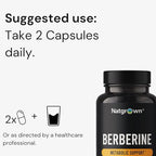 high potency berberine HCl formula