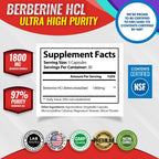high potency berberine HCL supplement