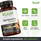 high potency berberine phytosome 1100 mg