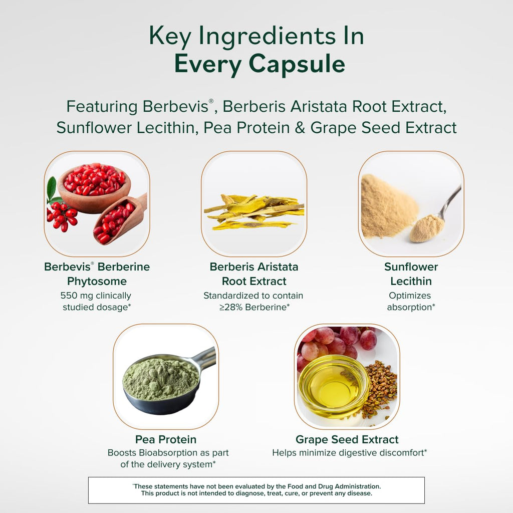 high potency berberine phytosome formula