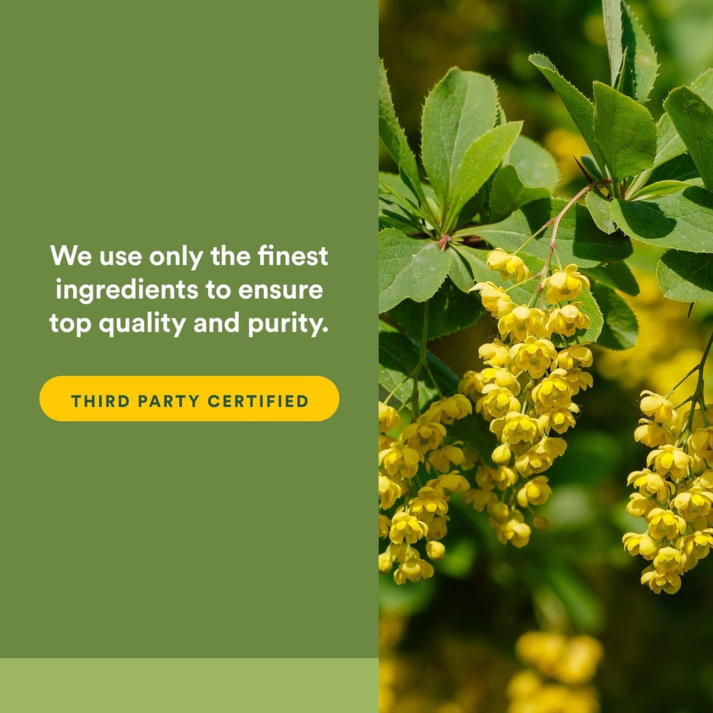 high potency berberine supplement