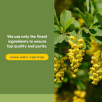 high potency berberine supplement