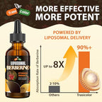 High potency berberine supplement
