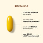high potency berberine supplement