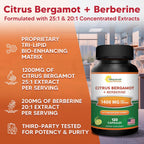 High potency berberine with antioxidants