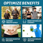 High potency berberine with Ceylon cinnamon