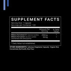 high potency bilberry extract 1000 mg