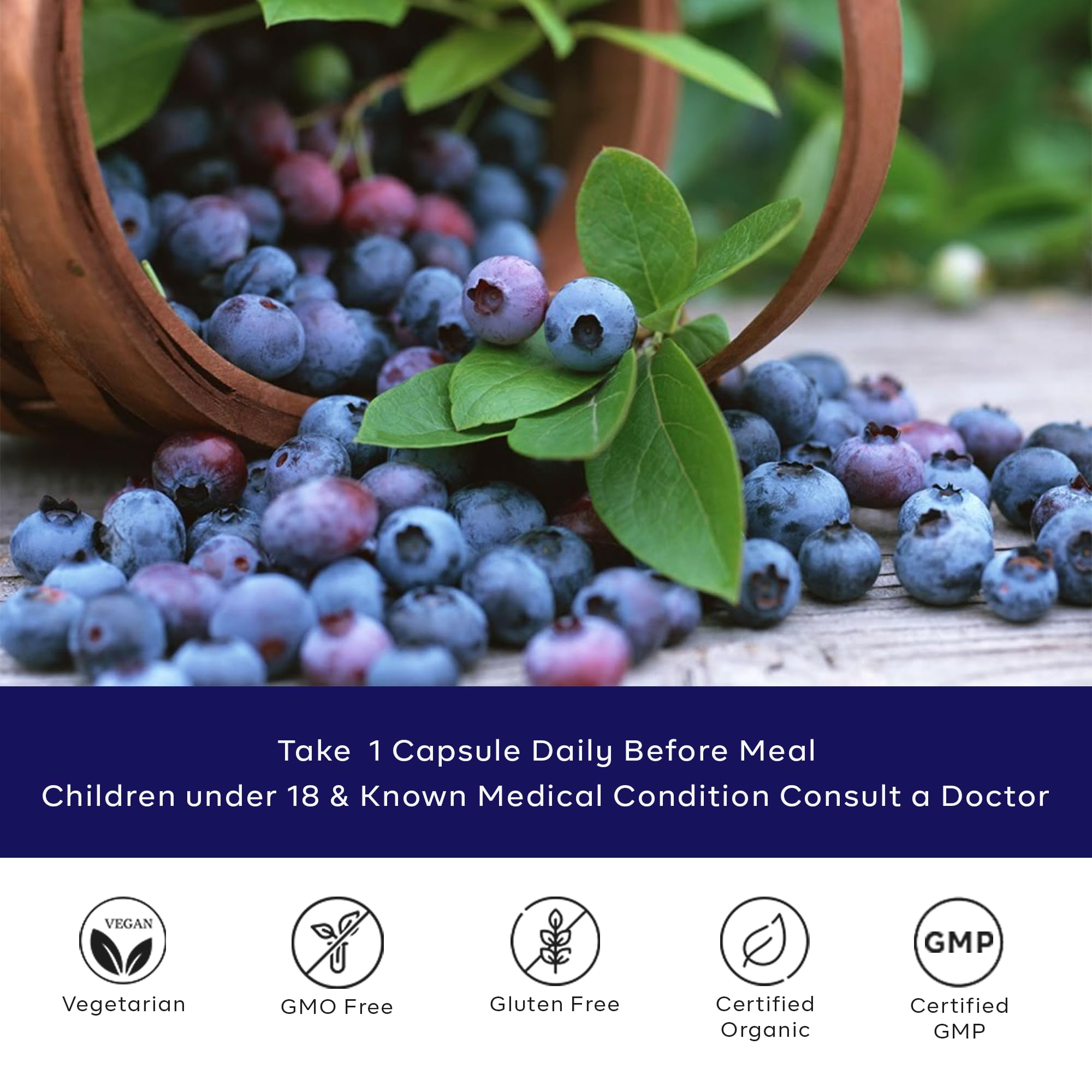 high potency bilberry extract 1200mg