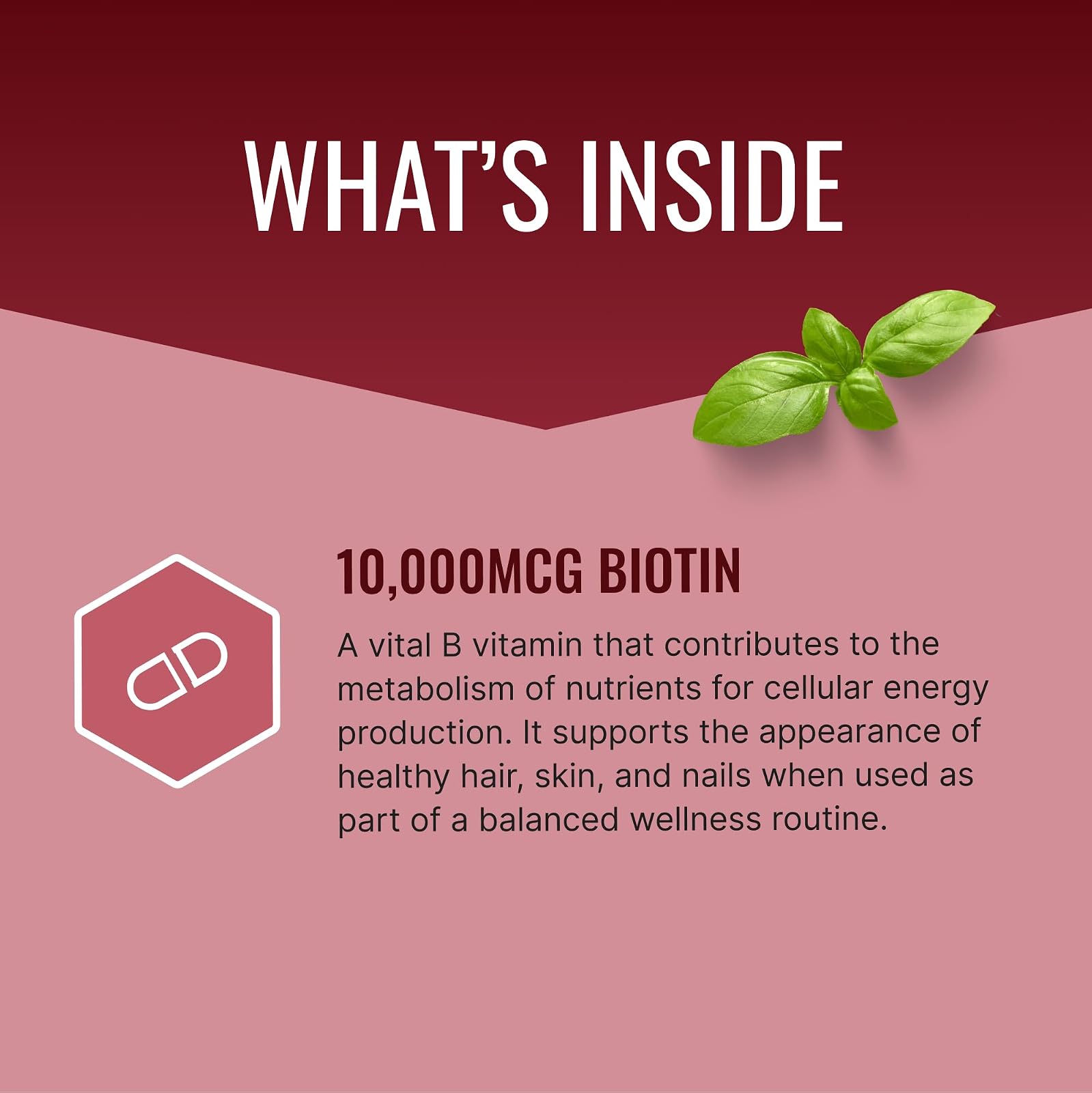 High potency biotin 10000 mcg