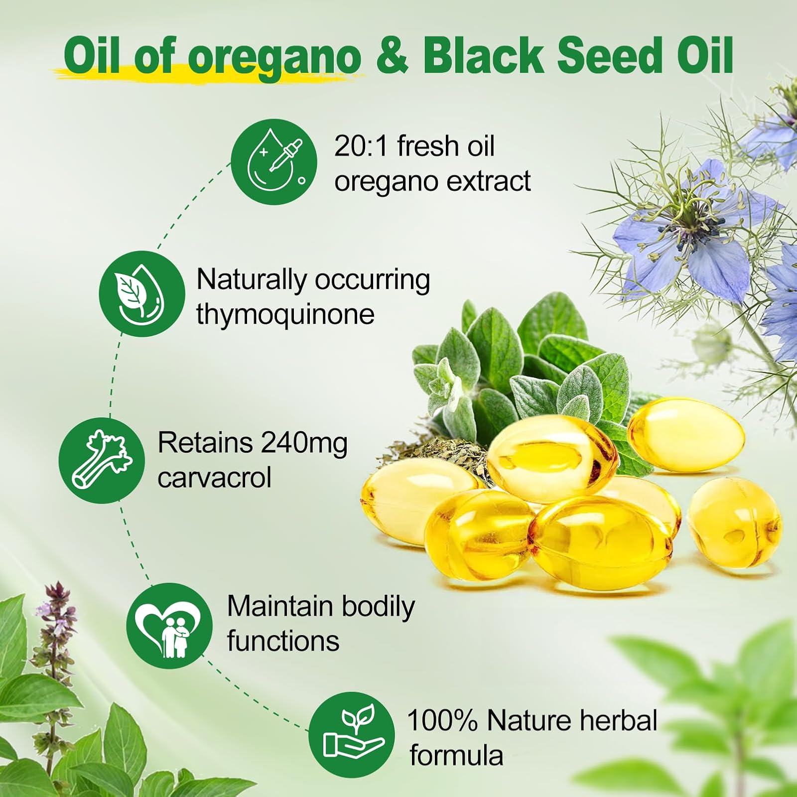 high potency black seed oil softgels