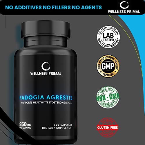 high potency blended vitamin supplements