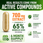 high potency Boswellia extract 700 mg