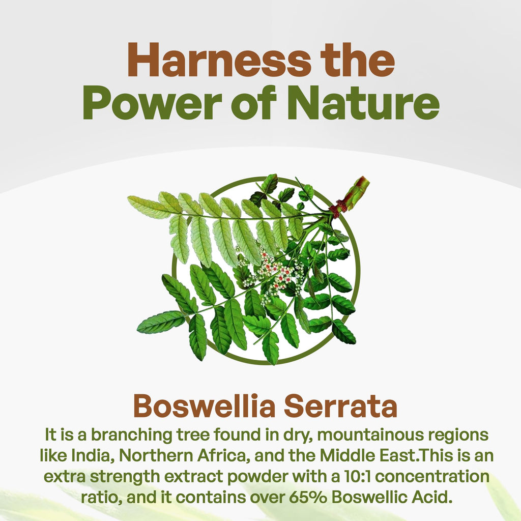 high potency boswellia serrata extract